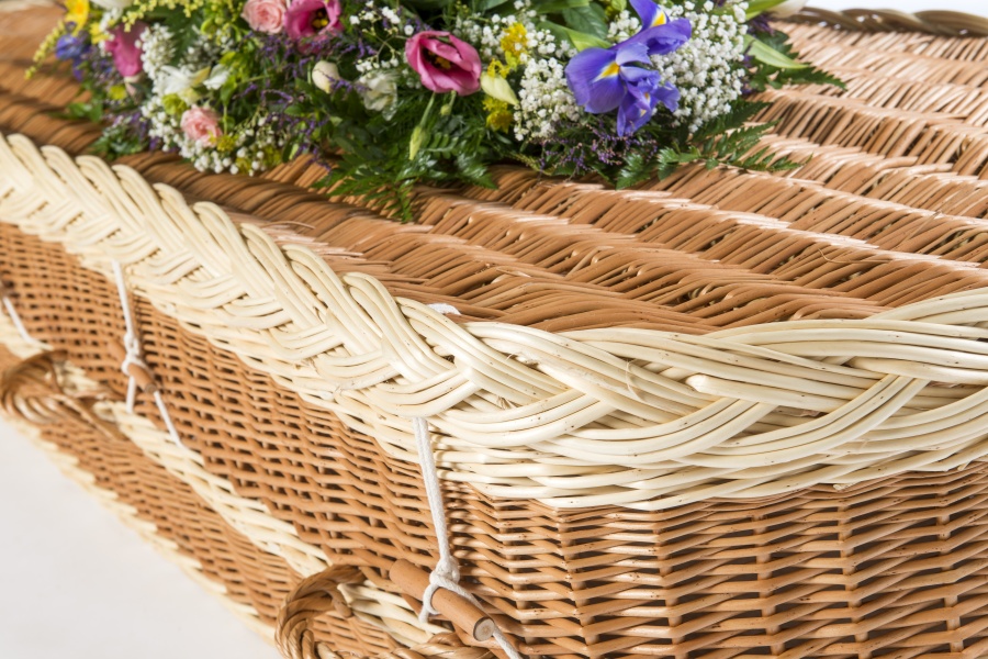 English Willow Rounded Coffin with Light Bands - The green coffin ...